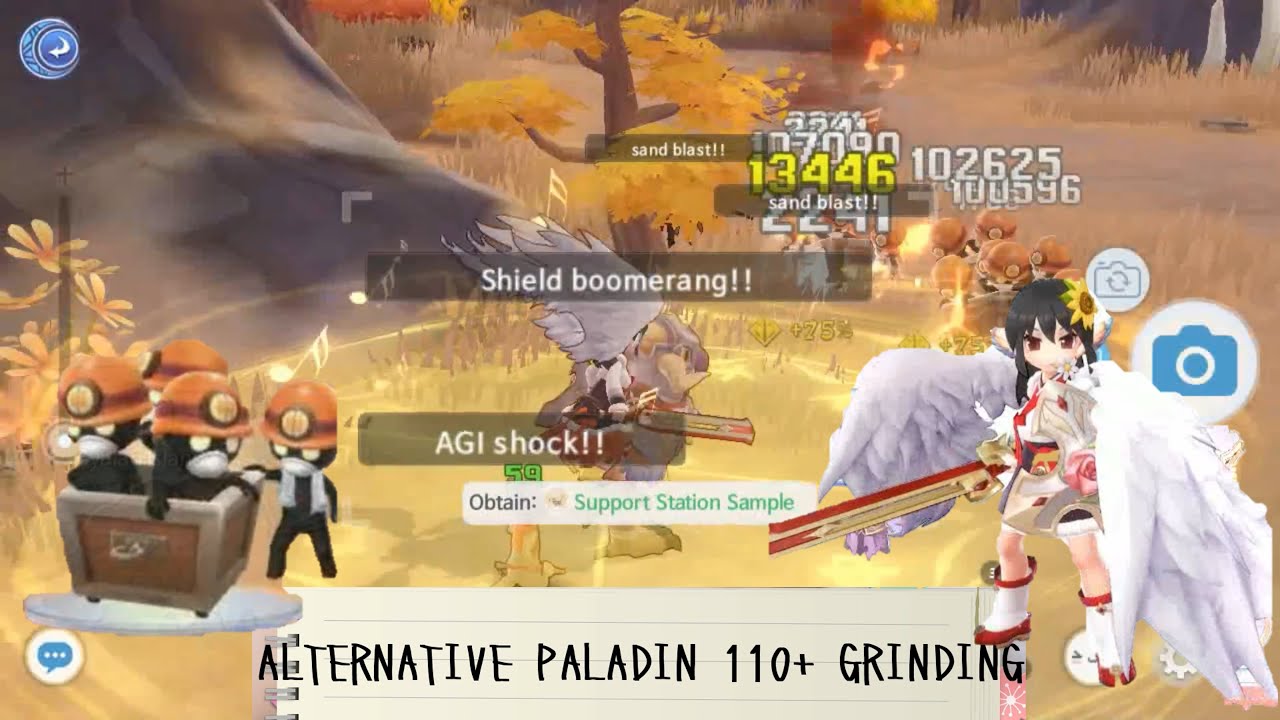 PALADIN GRINDING GOT 21M++ ON LV 110 !! PITMAN, BETTER ON GROVE PART ...