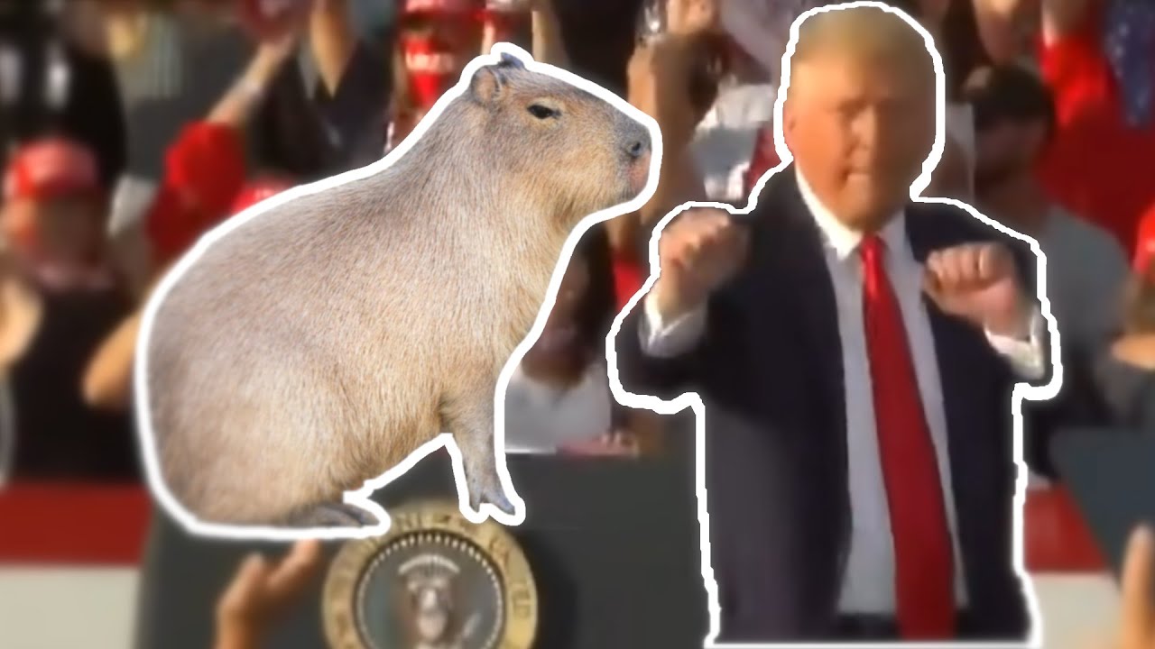 OK I PULL UP Capybara with Donald Trump - YouTube