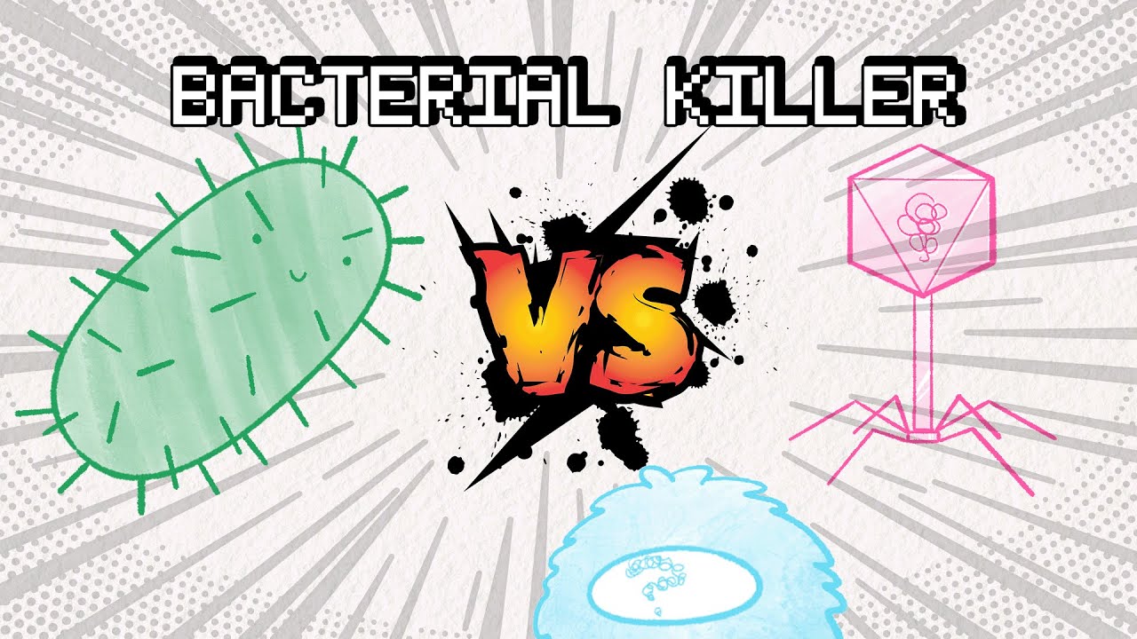 How Viruses are Crushing Bacteria: Germ Wars - YouTube