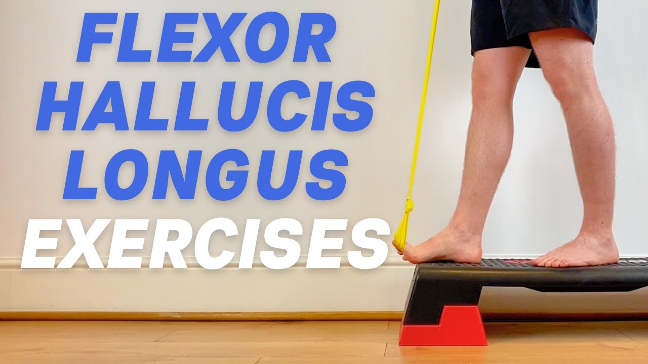 Flexor Hallucis Longus Exercises | Flexor Hallucis Longus Tendonitis ...