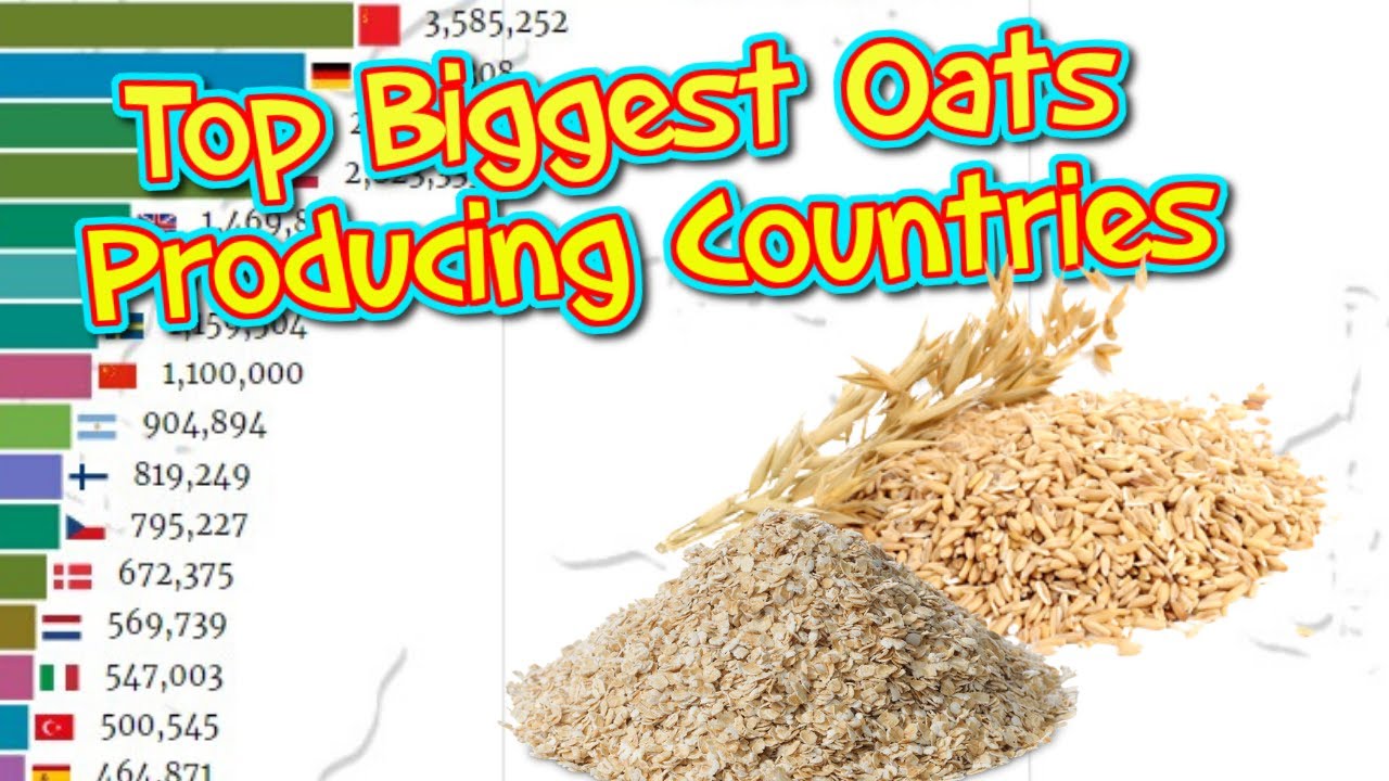 Top Biggest Oats Producing Countries In The World - YouTube
