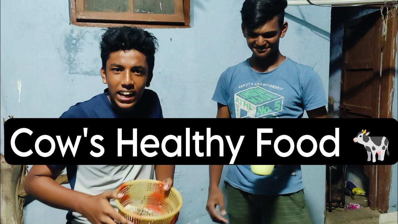 How to prepare healthy foods for cow and, it's benifits. - YouTube