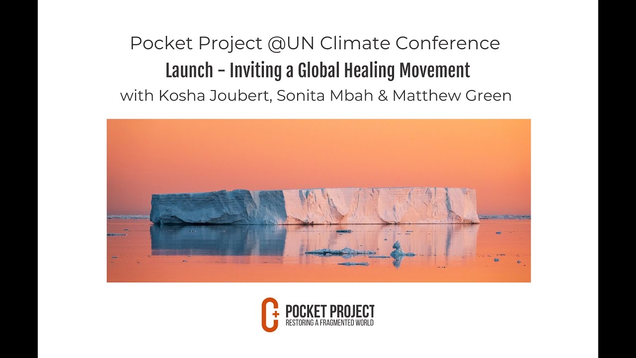 Pocket Project at COP27 Launch – Inviting a Global Healing Movement ...