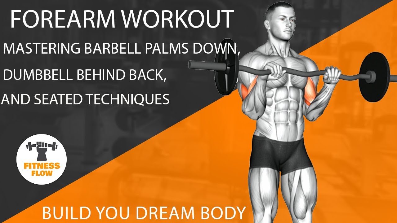 💪 Forearm Workout:Mastering Barbell Palms Down, Dumbbell Behind Back ...