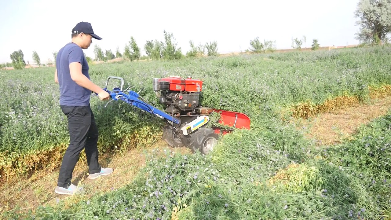 alfalfa cutting machine - YouTube