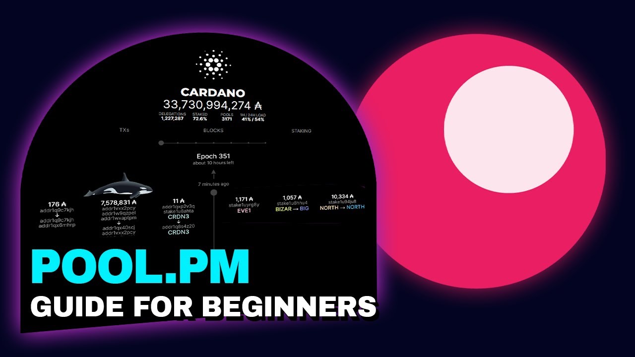 Cardano Pool Explorer | pool.pm [English] - YouTube