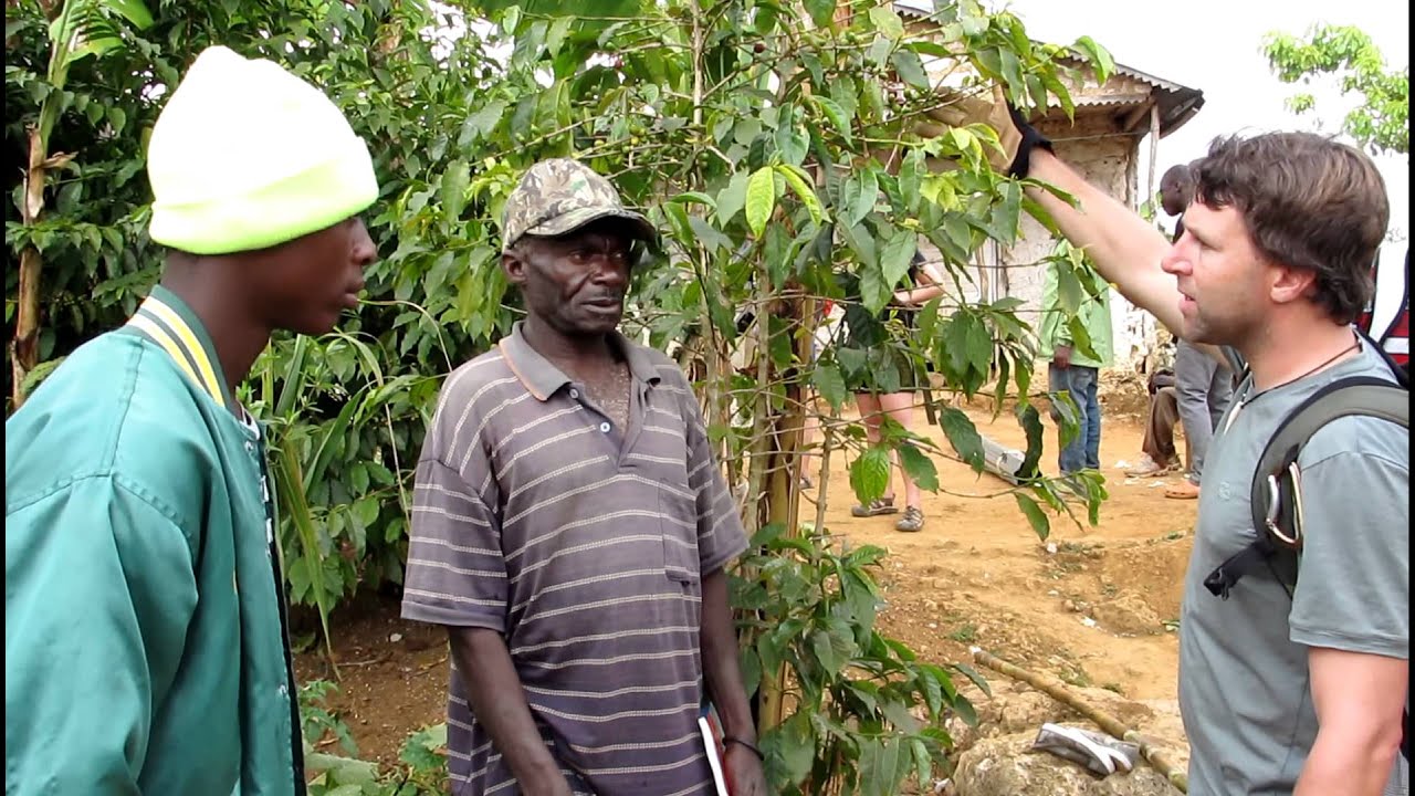Seguin Haiti - a look at coffee p2 - YouTube