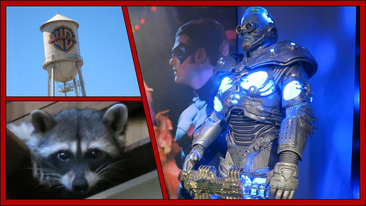 Batman and Adorable Raccoons - YouTube