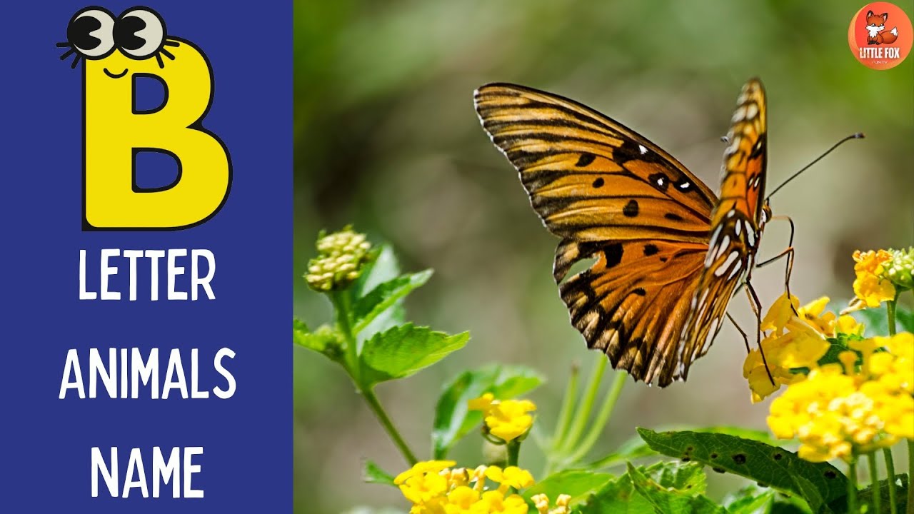 Top 90 Animals Name That Starts With Letter-B in English #kidslearning ...