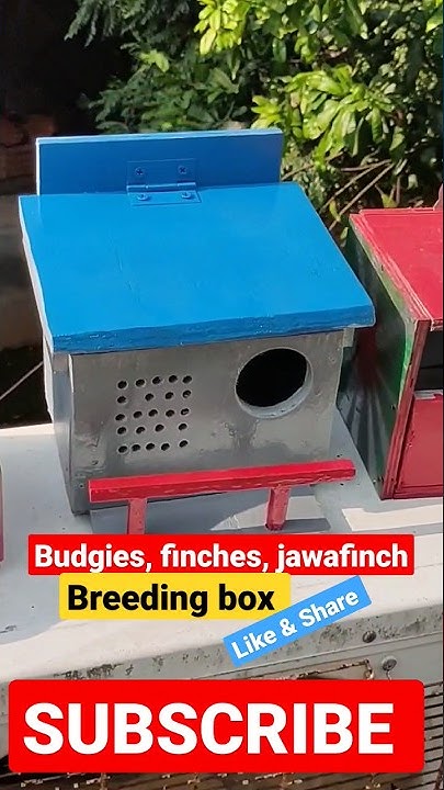 diy || breeding box_finches_jawafinch_Budgies_cocktailes ...