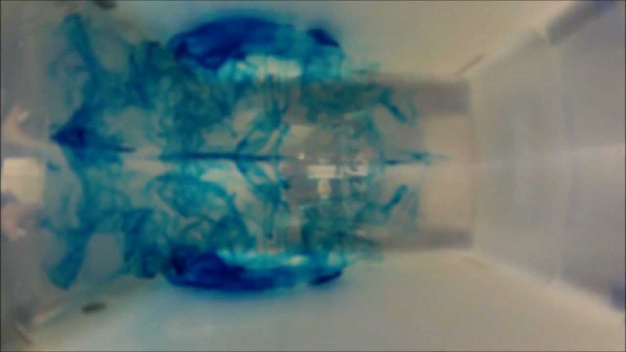 Diffusion in Water - YouTube