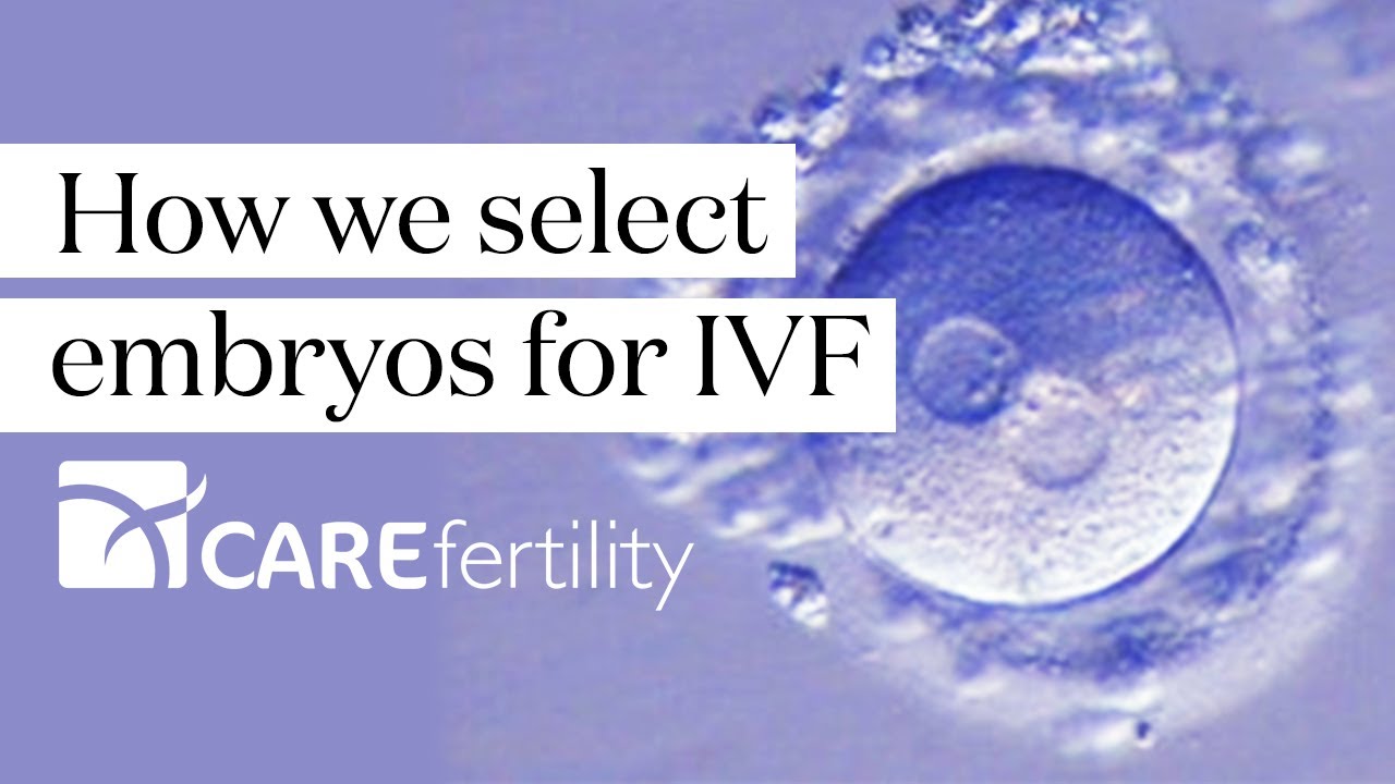 Embryo selection for IVF | CARE Fertility - YouTube