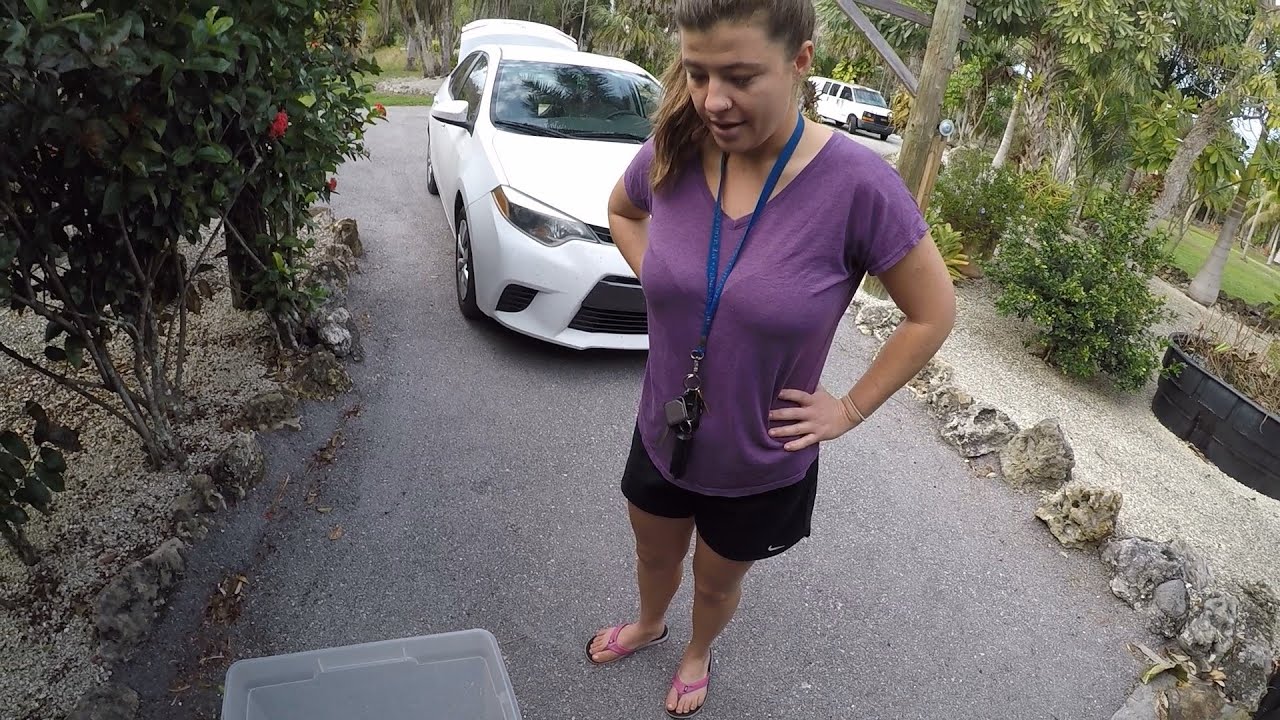 Katie's used 125 gal came with strings: rescuing unwanted oscar, jag ...