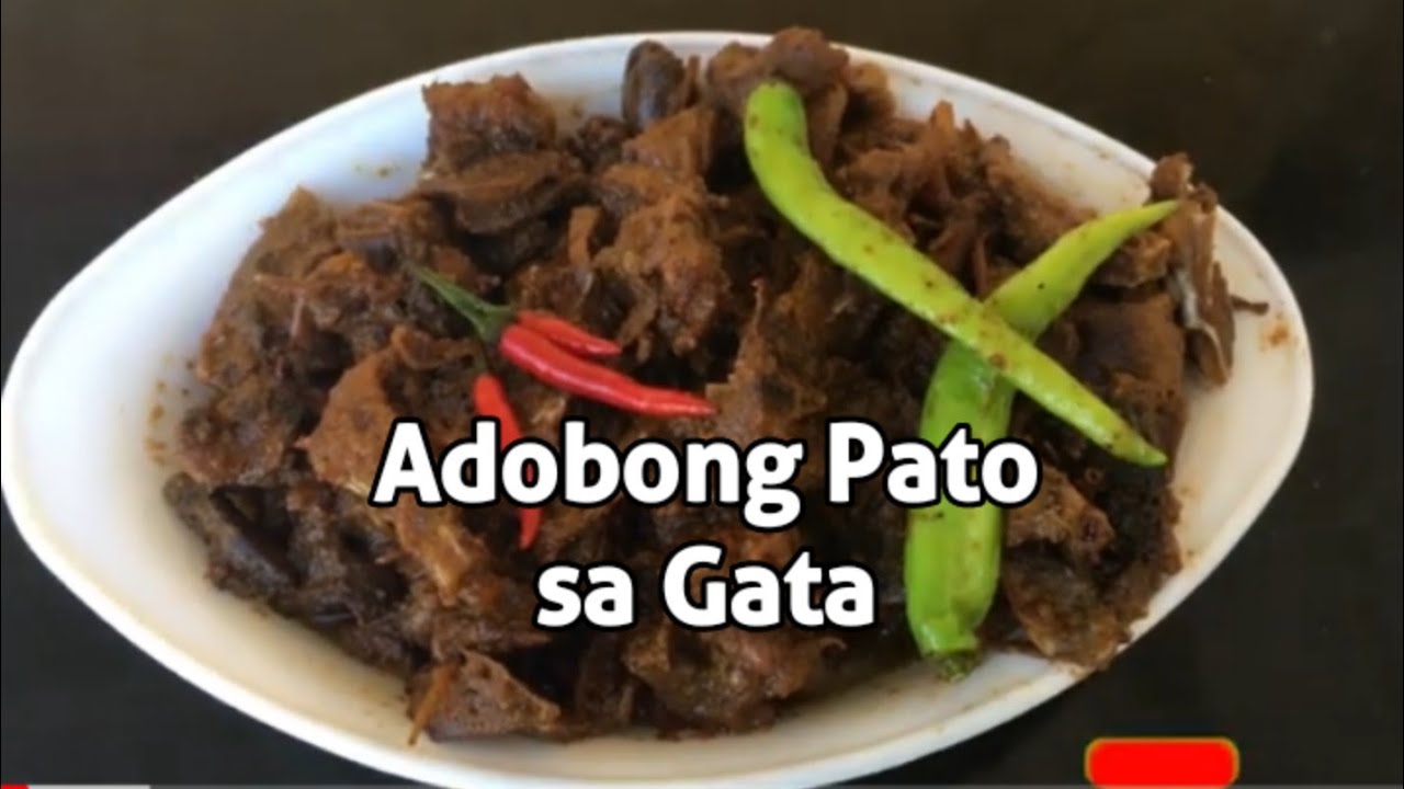 Adobong Pato sa Gata. - YouTube