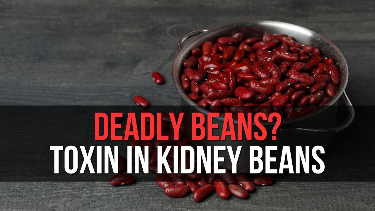 The Hidden Toxin in Red Kidney Beans! - YouTube