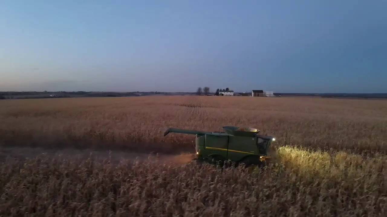 Foley Brothers Farms - YouTube