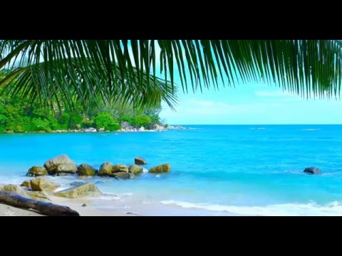 Beach Background - YouTube