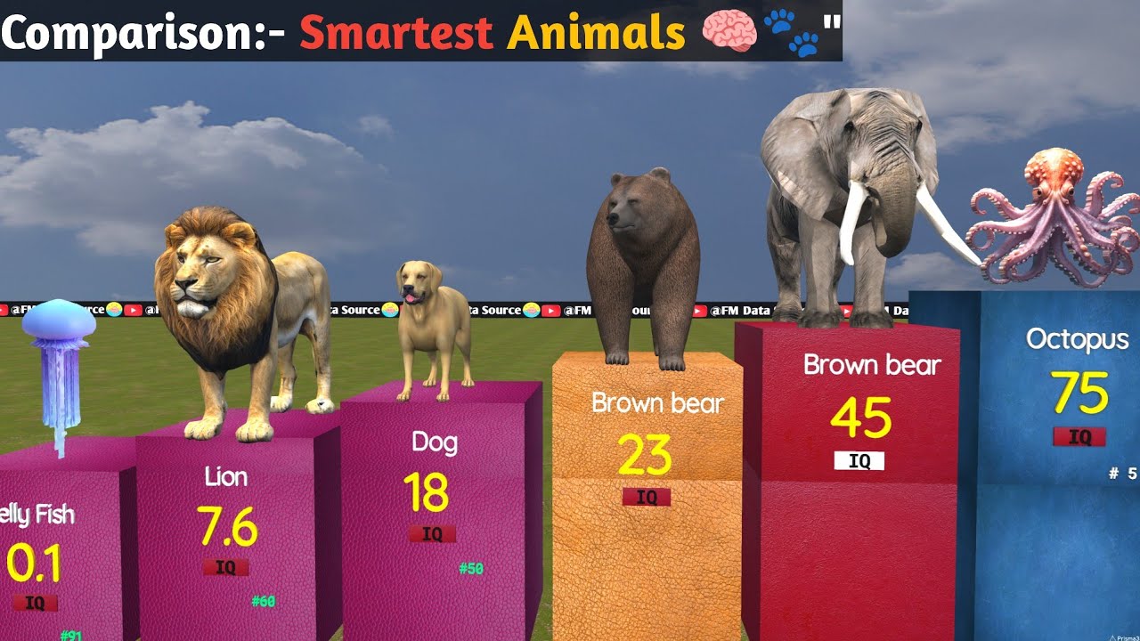 Animal Intelligence:- Levels You Never Knew! 🧠🐾" - YouTube