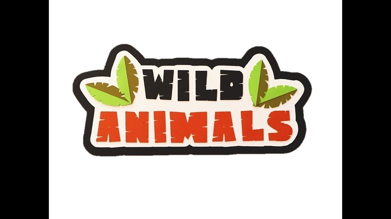 WILD ANIMALS - PART 2. Aquatic animals - YouTube