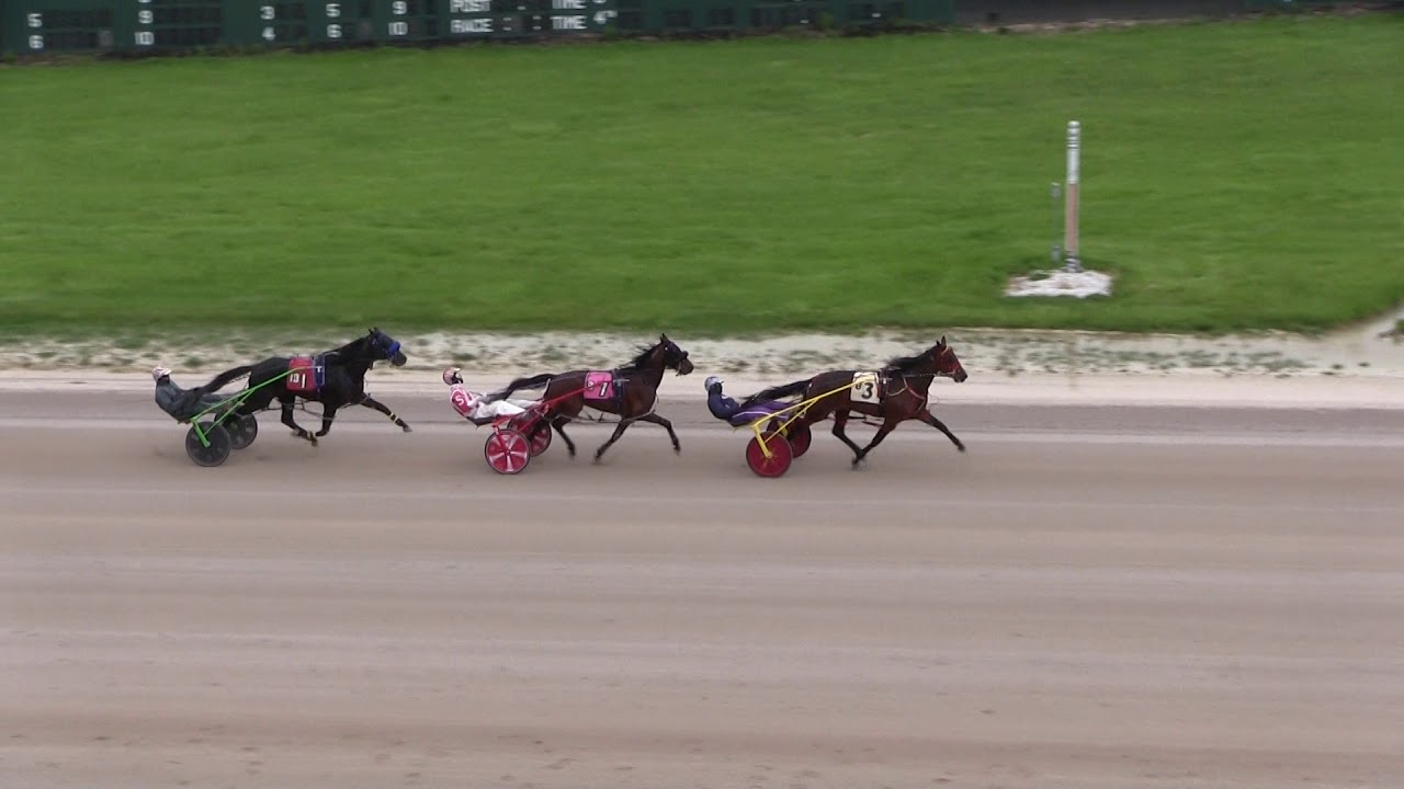 Eldorado Scioto Downs Qualifier #8 May 20, 2020 - YouTube
