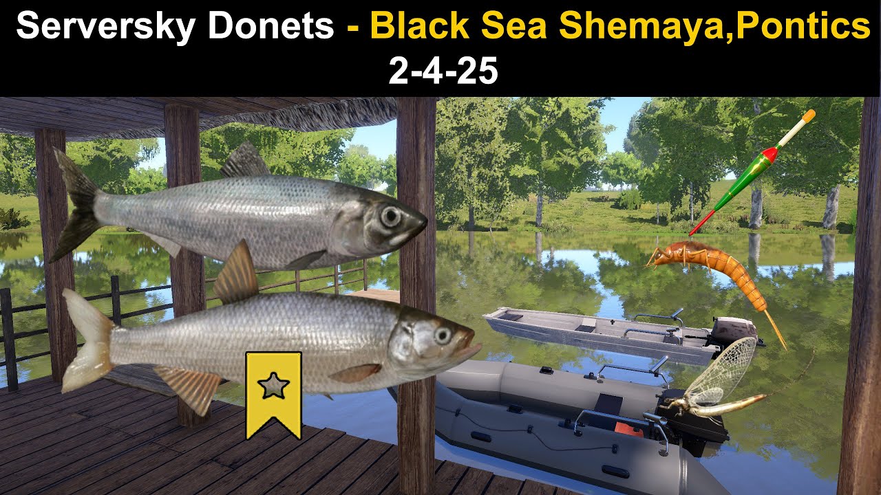 Russian Fishing 4, Serversky Donets - Black Sea Shemaya,Pontics Shad 2 ...