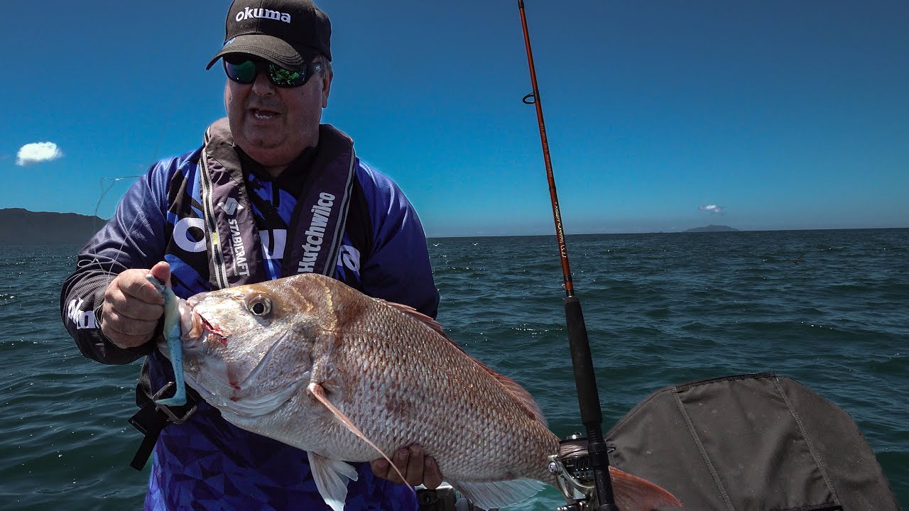 Big Bait Big Fish (Fishing around commercial pilchard boat) 4k - YouTube