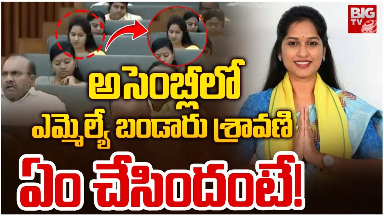 TDP MLA Bandaru Sravani Sree In Assembly: బండారు శ్రావణి ఏం చేసిందంటే ...