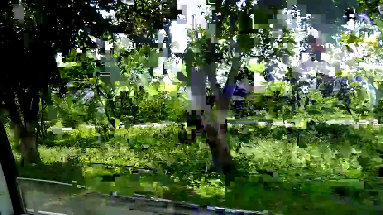 Tanishq raikwar - YouTube