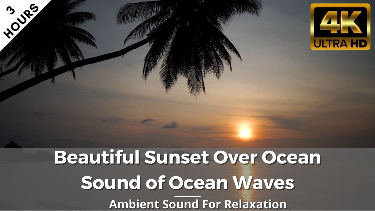 🎵 Beautiful Sunset Over Ocean - Ambient Ocean Wave Sound. For ...