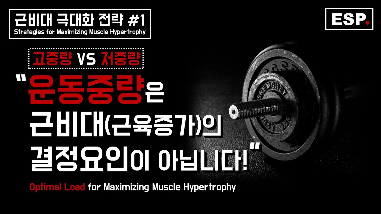 근비대 근육증가 득근 를 극대화하는 최적의 운동중량 무게 강도 ┃저중량and고반복 Vs 고중량and저반복┃근비대 극대화 전략 1