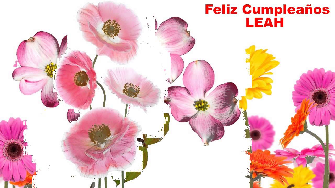 Leah - flowers - Happy Birthday - YouTube