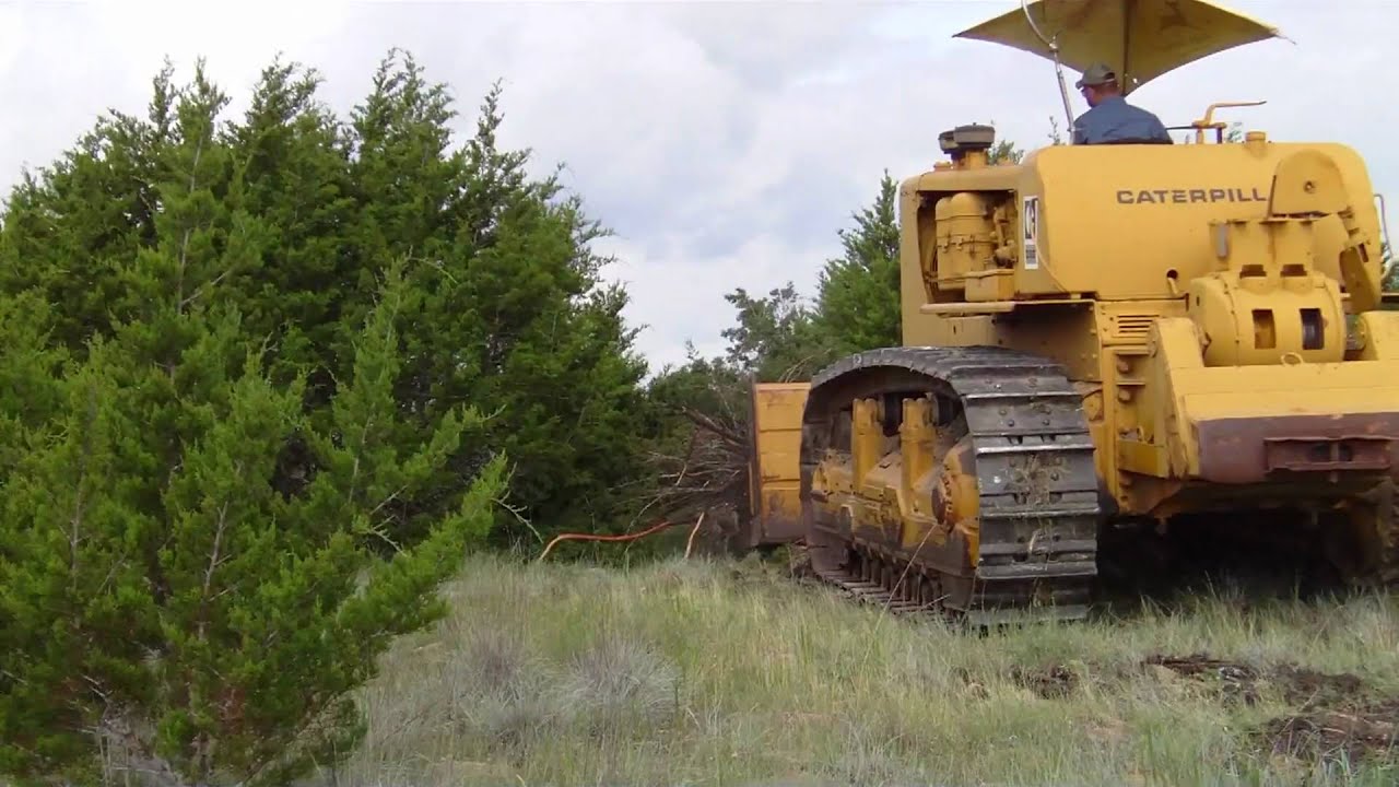 Push Cushion D9G Pushing Cedar [HD 1080p] - YouTube