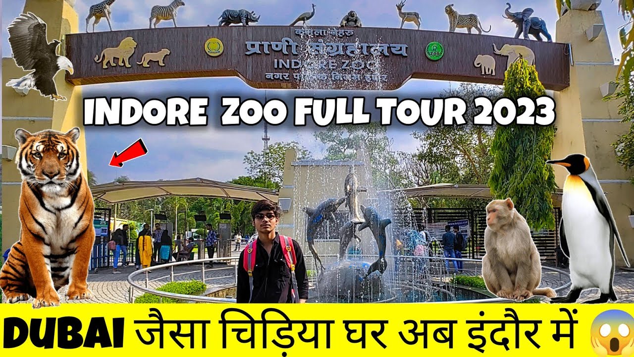 Indore Zoo 🐯 | Chidiya Ghar Indore | Zoo Indore | Indore Zoo Vlog ...