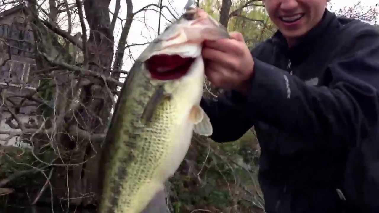 6lb LargeMouth Bass Swimbait - YouTube