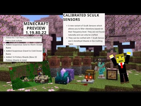 Minecraft Article Net: 1.19.80.22 beta released! New Calibrated skulk ...