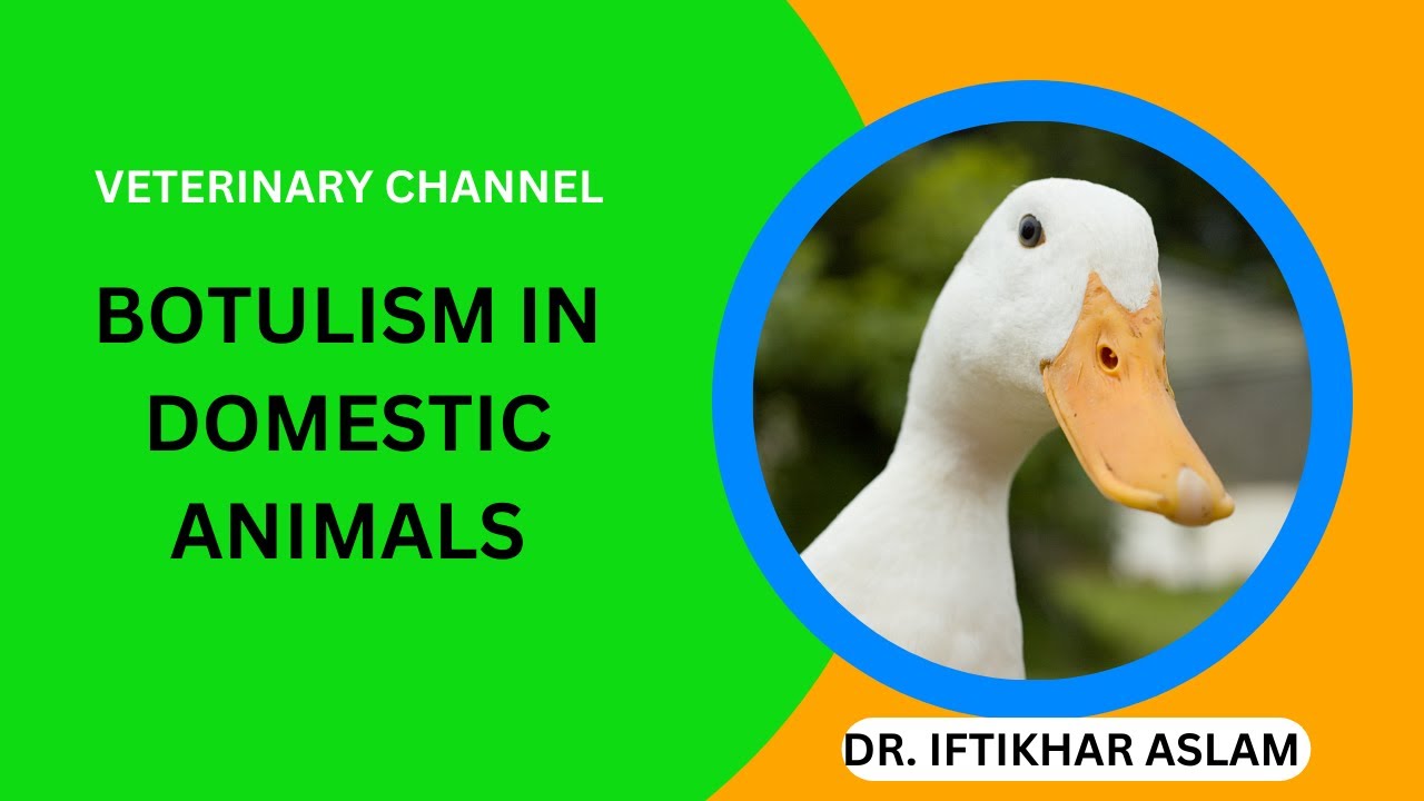 Botulism in Domestic Animals: Recognize, Prevent, and Protect Your Pets ...