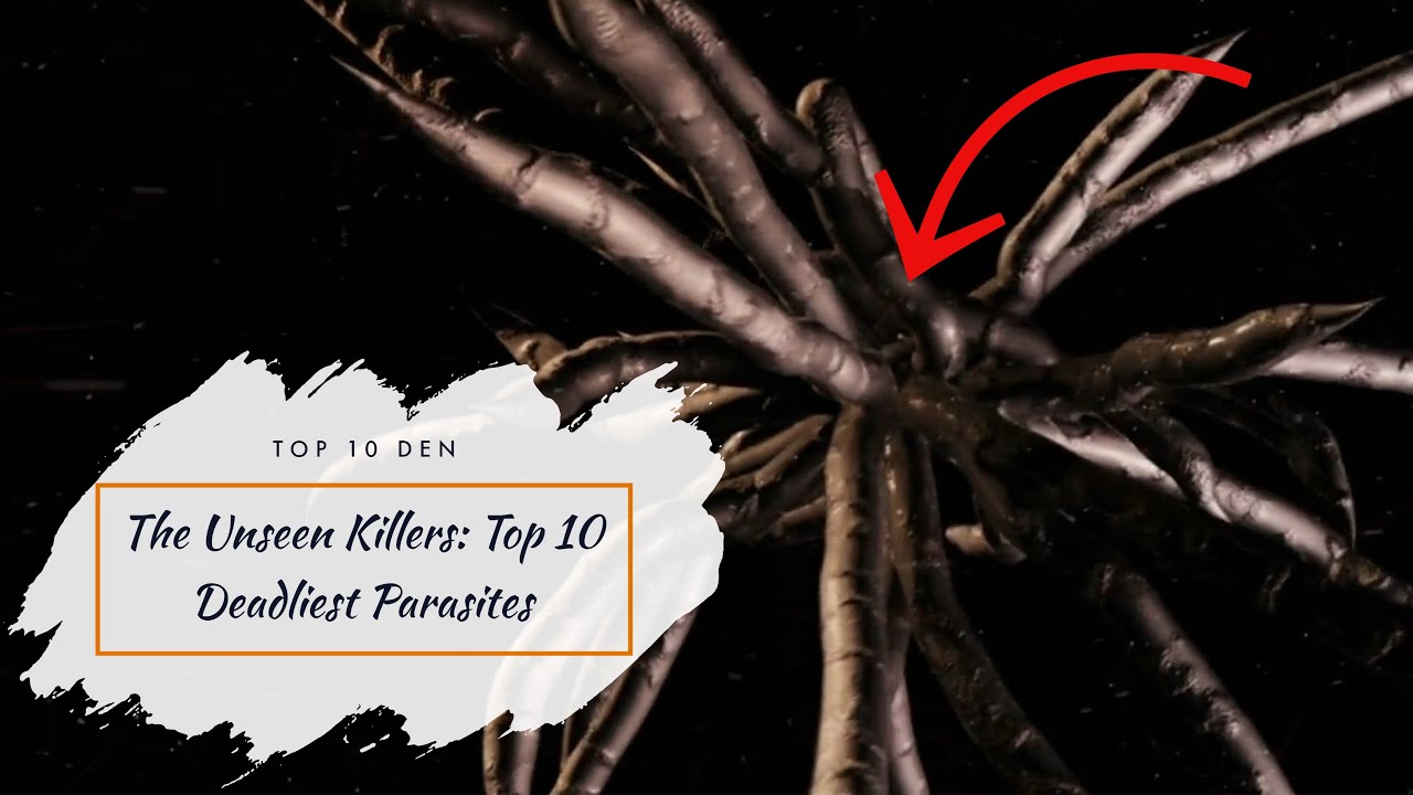The Unseen Killers: Top 10 Deadliest Parasites - YouTube