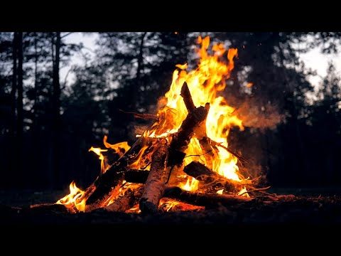 Ormanda Kamp Ateşi Su Ve Kuş Sesi , Dinlendirici Orman Sesleri ( 1080p Full HD Ultra HD ) Uzun