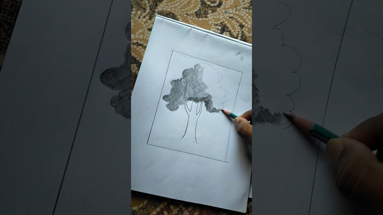 How to shade a tree - YouTube