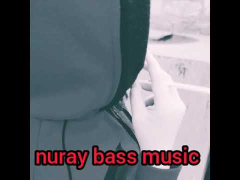 Dal doma usel azəri bass