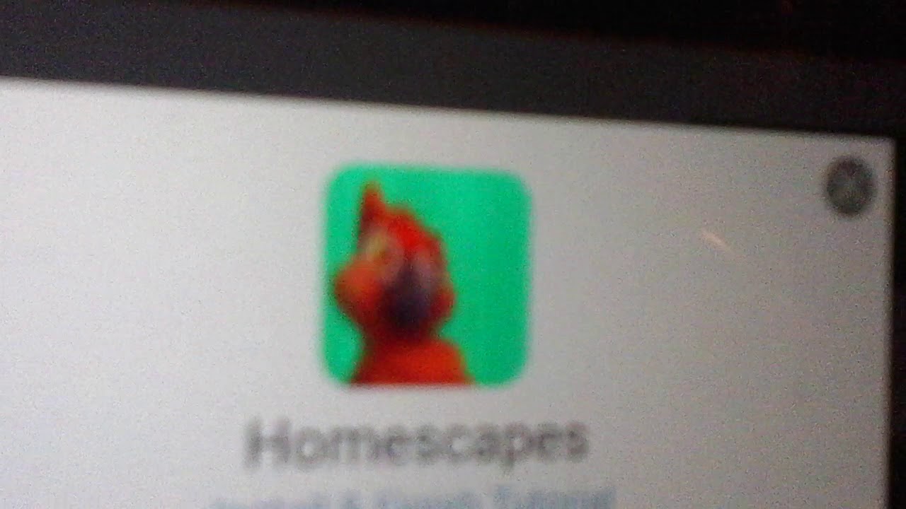 Parrot Dances to "saxophone music" - YouTube