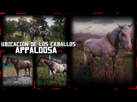 Donde localizar a los caballos APPALOOSA (TRABAJO)*|Red Dead Redemption ...
