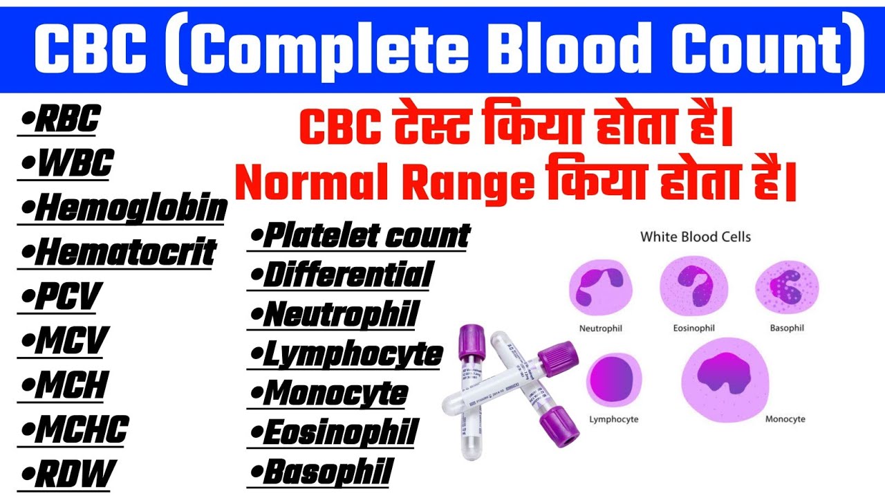 CBC Test in hindi | Complete Blood Count Test | CBC Reporting normal ...