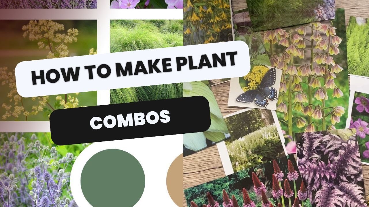 🌱🌸 How to Combine Plants - Making Plant Combinations 🌱🌸 - YouTube