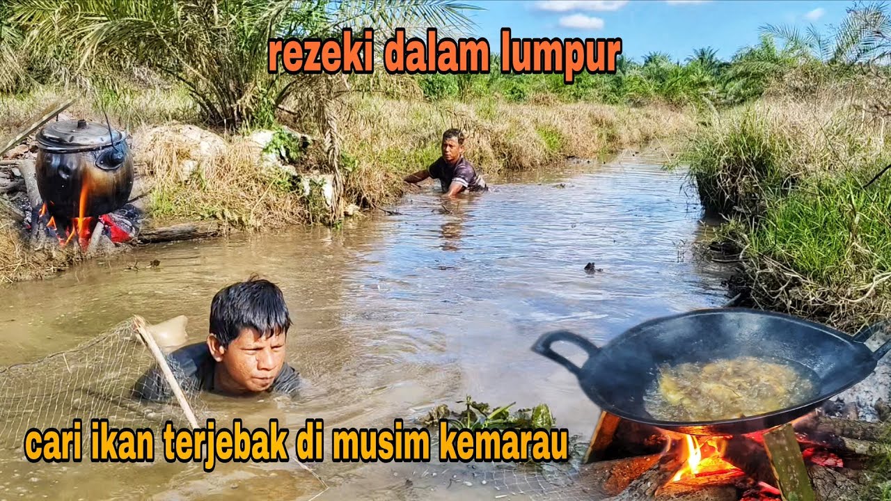 JAMAH IKAN TERJEBAK DI MUSIM KEMARAU, COOKING MUKBANG - YouTube