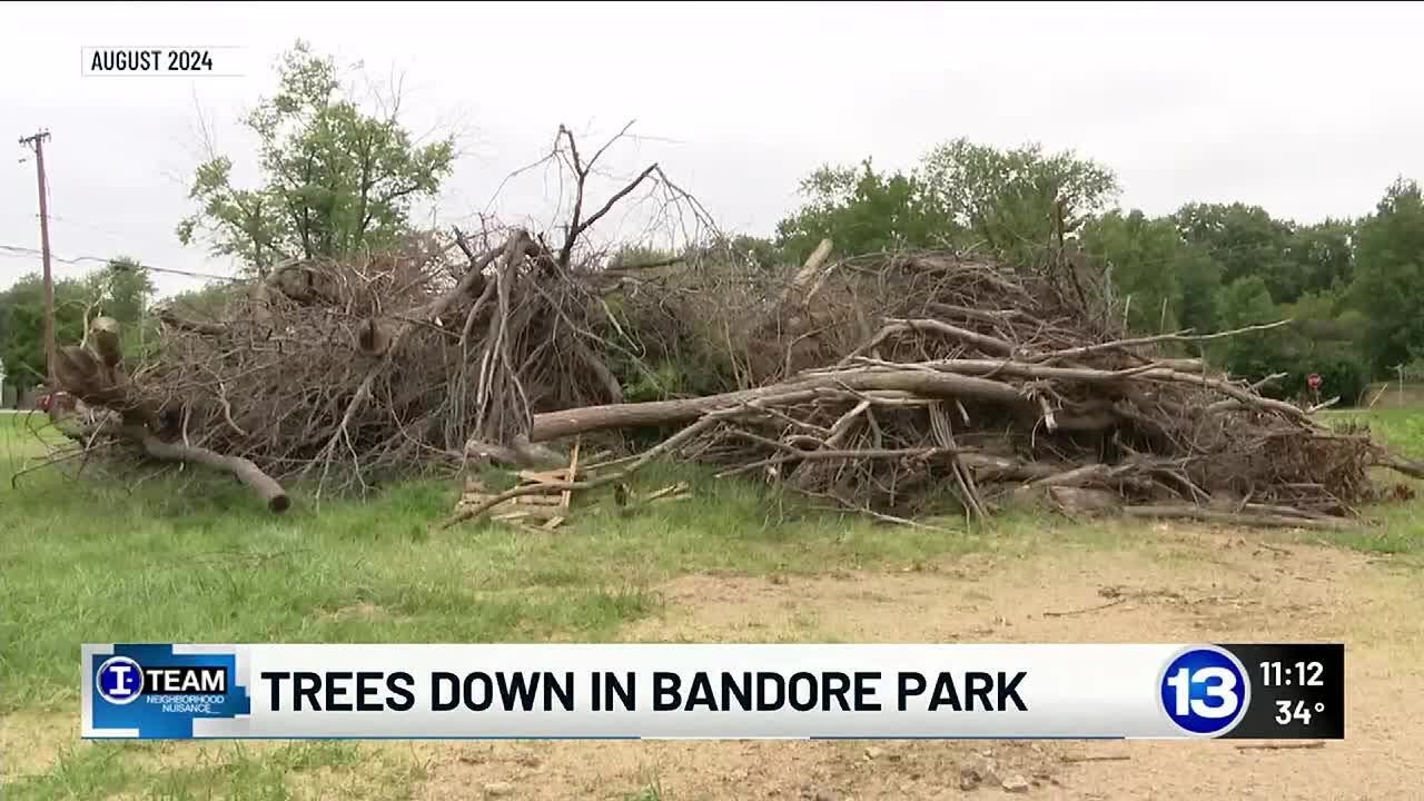 I-TEAM Neighborhood Nuisance: Tress down in Bandore Park - YouTube