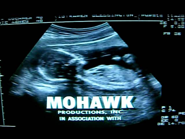 Mohawk Productions Logo