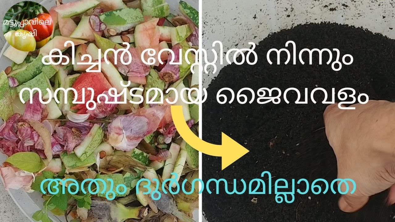 കിച്ചൻ വേസ്റ്റിൽ നിന്ന് ജൈവവളം | Easy way to make compost from Kitchen ...