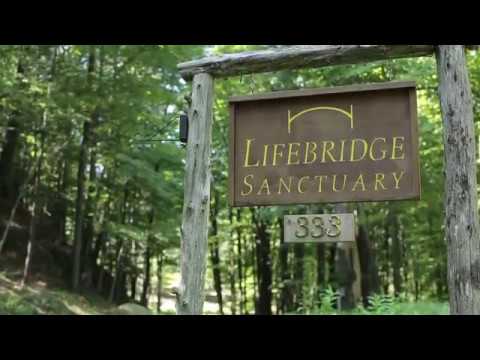 LifeBridge Sanctuary - YouTube