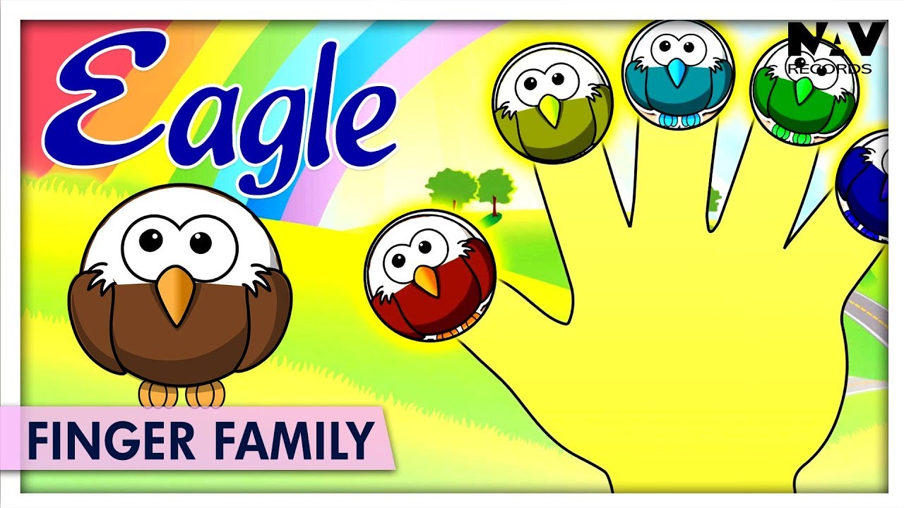 Eagle Finger Family | Nursery English 3d rhymes | Children Animated ...